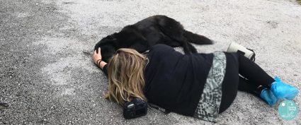 saving strays – saving stray dogs