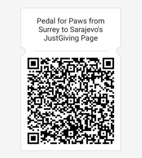 saving strays – saving stray dogs